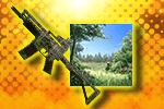Point Blank ID | Military Sniper